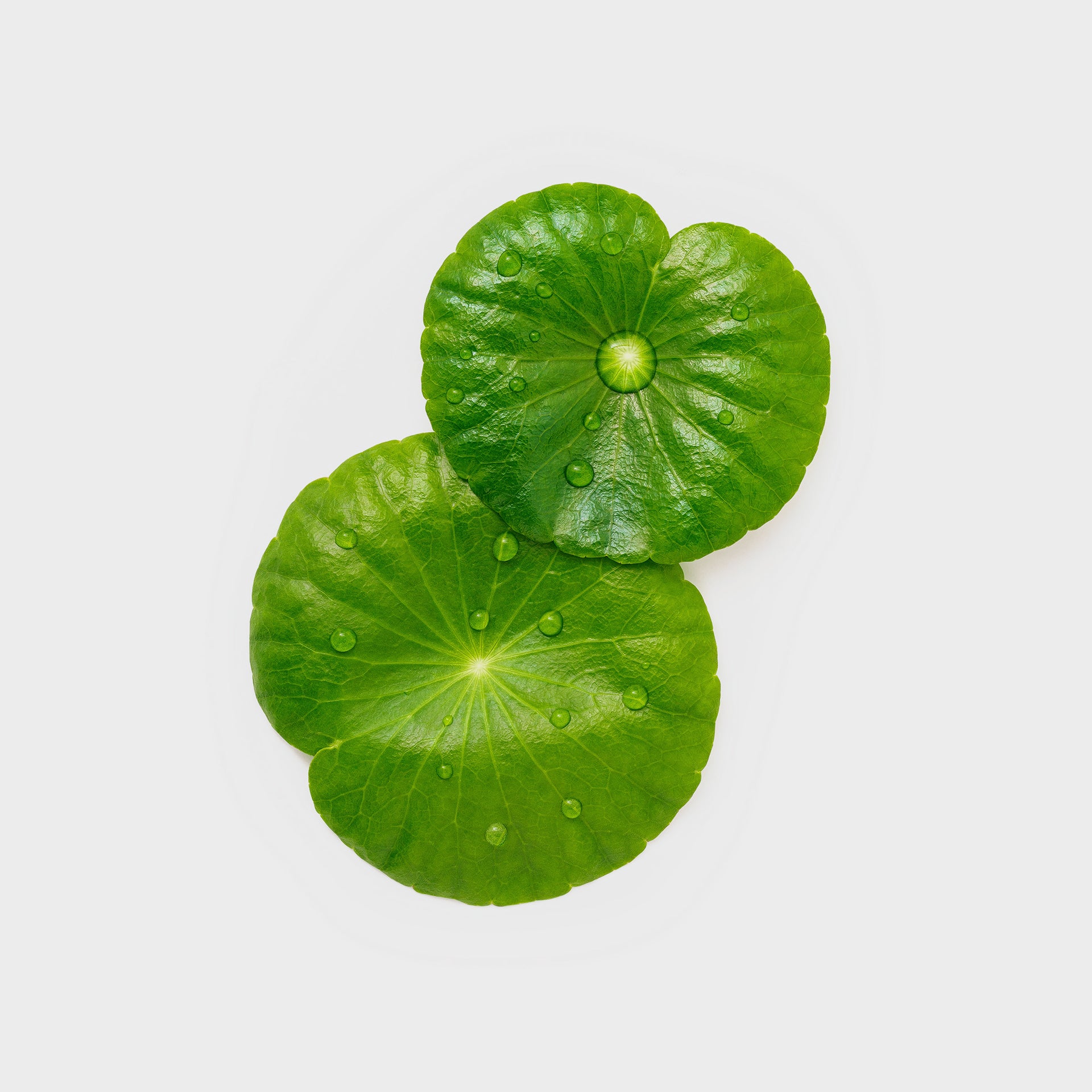 【乖乖瓶】Calmer 高效修護精華 | BFFECT